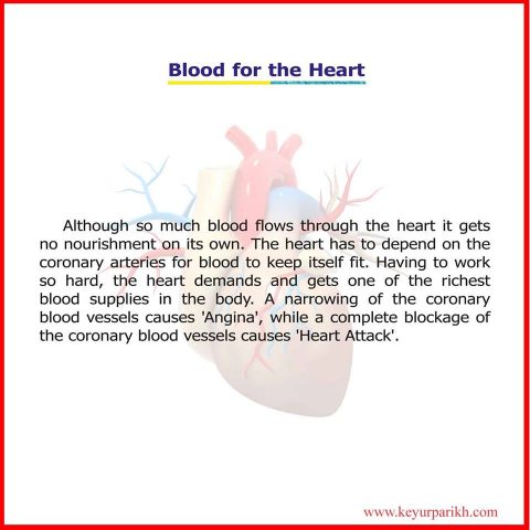 Blood for the Heart | Dr. Keyur Parikh - Best Cardiologist in Ahmedabad ...