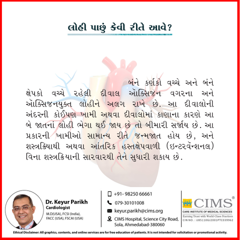 લોહી પાછું કેવી રીતે આવે? | Dr. Keyur Parikh - Best Cardiologist in ...